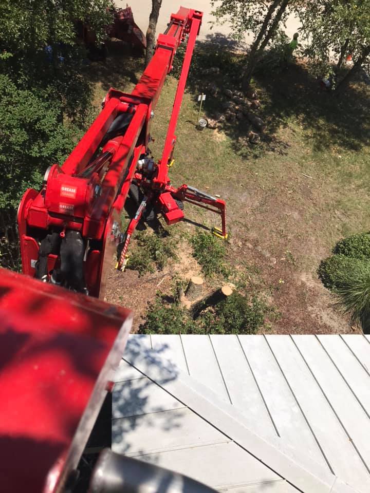 Trusted Tree Service & Removal By Longwater In Savannah